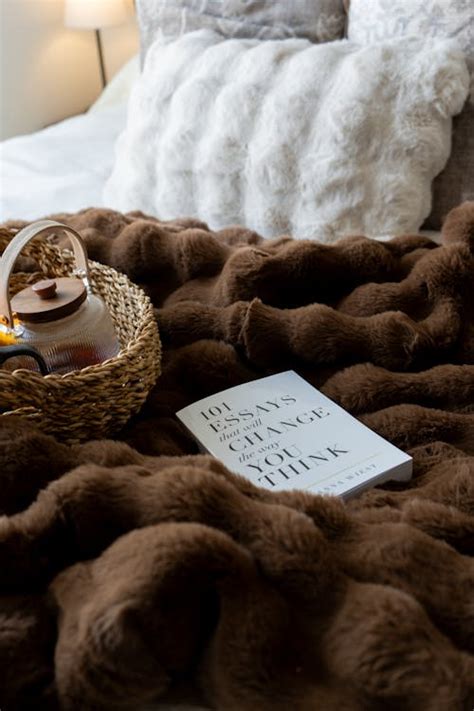 책과 차가 있는 아늑한 침실 풍경 · 무료 스톡 사진