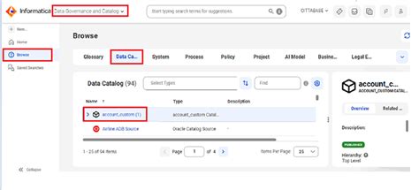 Custom Metadata Scanner In Informatica Cloud Data Governance And Catalog Cittabase