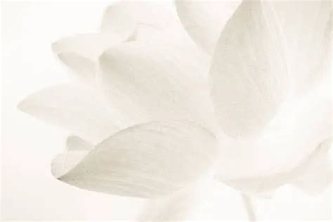 귀여운 배경화면 사진 Unsplash에서 무료 이미지 다운로드