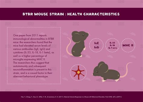 Btbr Mice Show Autism Like Deficits In Social Interaction Play Etc