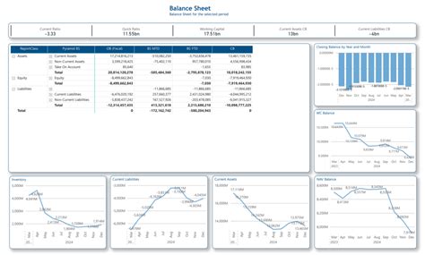 ERP Report Gallery Canvas Intelligence