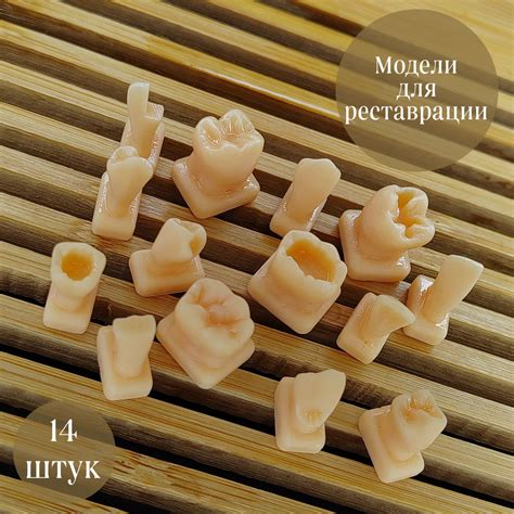 Набор зубов для реставрации нижняя челюсть - купить с доставкой по ...