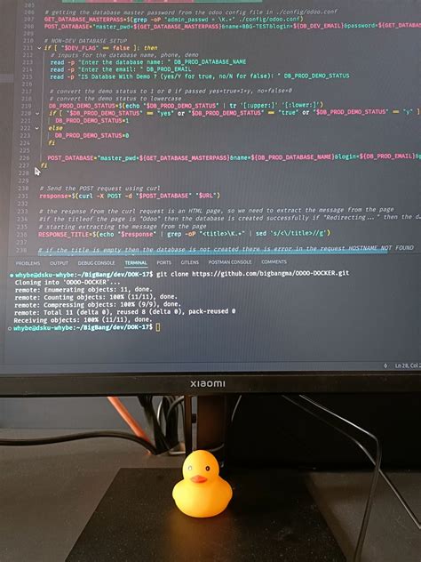 Yassine Bouba On Linkedin Duck Coding Dev Devloper Programming