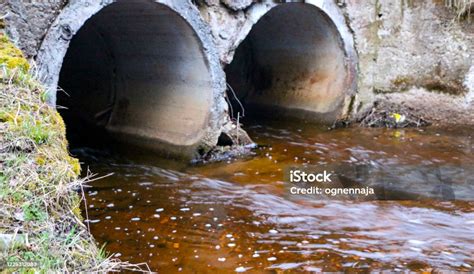 도로 아래 콘크리트로 만든 배수 파이프 봄 홍수 동안 물을 전환합니다 강의 봄 홍수 후 숲 스트림의 강한 스트림은 콘크리트 배수 파이프를 통해 흐른다 0명에 대한 스톡 사진