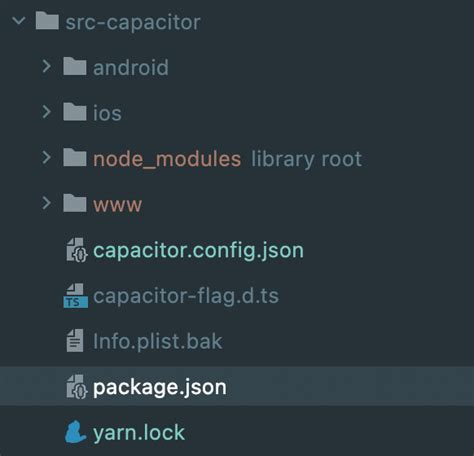 Blank Screen Of Death When Building Capacitor Ios But Works In Dev · Issue 14142