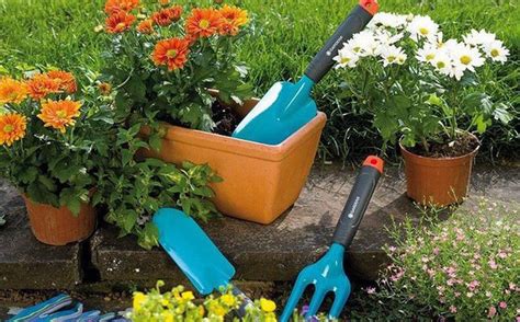 8 გავრცელებული პრობლემა რომელსაც მხოლოდ ასპირინის გამოყენებით ვებრძვი