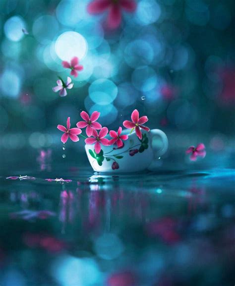 100 Whatsapp Dp Wallpapers