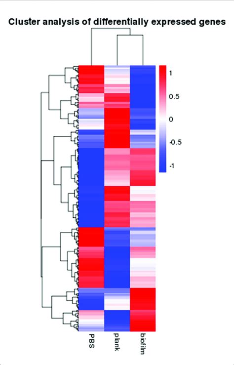 Cluster Analysis Of Gene Expression Differences The Heatmap Analysis Download Scientific