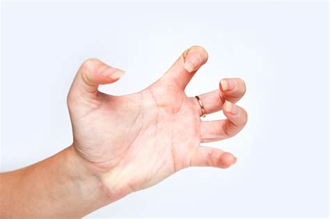 하얀 고립된 배경에 발톱 제스처를 취하는 여자 화나고 공격적이다 갈고리 발톱에 대한 스톡 사진 및 기타 이미지 갈고리 발톱 개념 건강한 생활방식 Istock