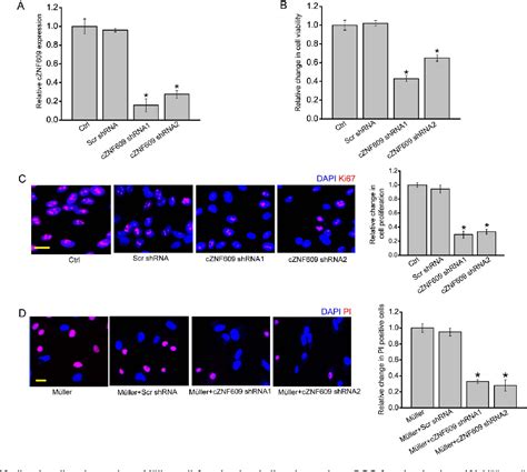 Figure 1 From Circular Rna Znf609 Regulates Retinal Neurodegeneration By Acting As Mir 615