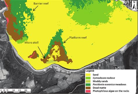 Map Of The Main Benthic Assemblages And Bottom Types At The Site Of St