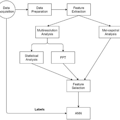 Box Plot Of Statistical Features For Each Selected Detail Male Download Scientific Diagram