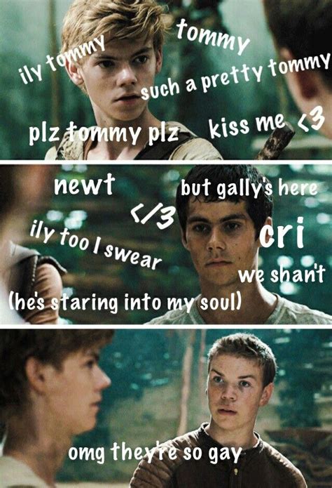Newt Tmr Memes