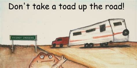 Mitigating The Impacts Of Cane Toads On Wa Native Animals Department