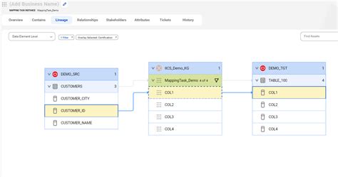 How Does Connection Assignment Work For Iics Resource In Cdgc
