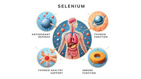 Selenium 3 Powerful Benefits