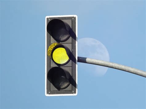 Traffic Signal And Pedestrian Crossing Ii — Task Social Science Class 6