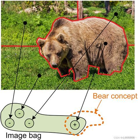 【多实例学习】2017 Pr 多实例学习：问题特征和应用的调查多实例学习问题特征 Csdn博客