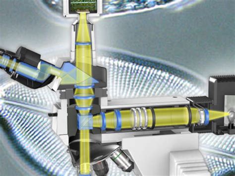 Microscopy Basics Nikons MicroscopyU