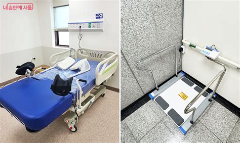 서울시 내 손안에 서울