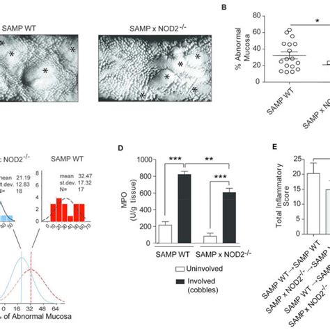 Working Hypothesis For The Role Of Nod2 Signaling In Experimental Ibd Download Scientific Diagram
