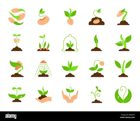 Sprout Flat Icons Set Web Sign Kit Of Seeds Sprout Icon Collection
