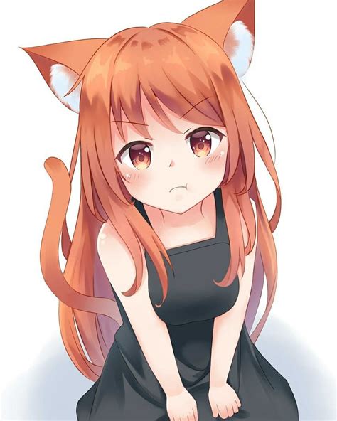 Неко Neko Nekomimi Catgirl Catgirl Monster Girl