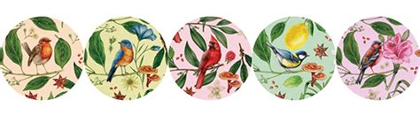 Redesign Tea Enerwood Classic on Behance