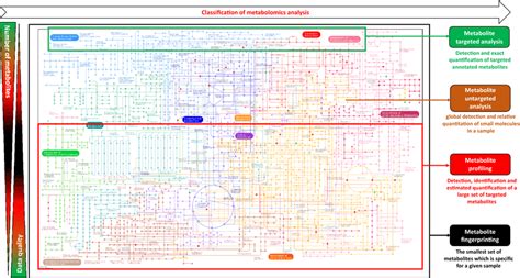 Classification Of Metabolomics Analysis The Level Of An Identified