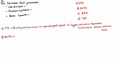Solvedwhich Hormone Promotes Cell Division Protein Synthesis And Bone