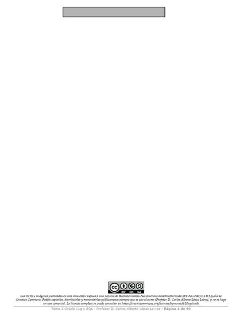 Tema 2 Oracle 11g Pdf