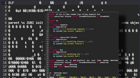 Decompilereverse Cythonzlibbase64lambda Manual Youtube