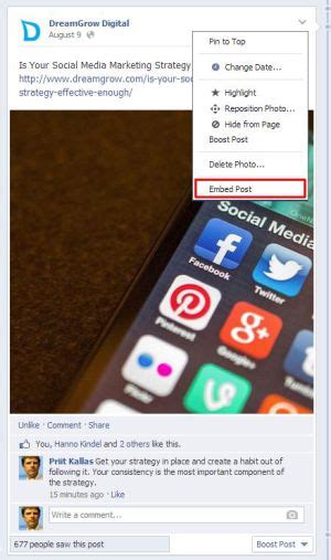 How Facebook Embedded Posts Look Like DreamGrow