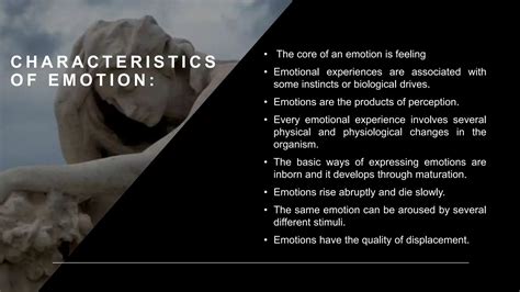 Reason And Impartiality As Requirements For Ethicspptx