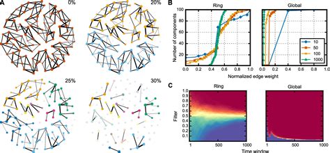 Unveiling Swarm Intelligence With Network Science The Metaphor Explained