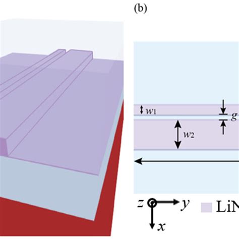 A The 3d Schematic Diagram Of The Dual Coupled Waveguide On X Cut Download Scientific Diagram