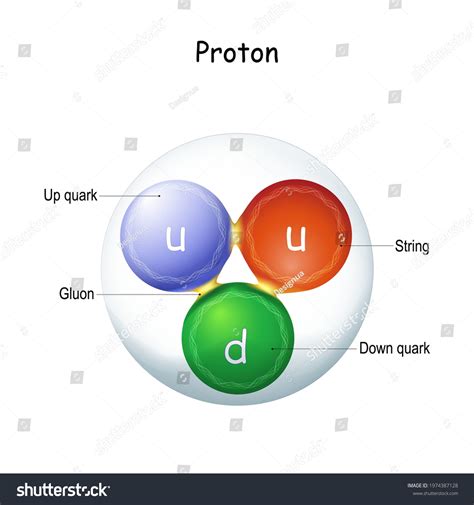 Quark Particle