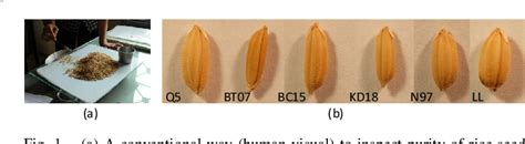 Figure From Rice Seed Varietal Purity Inspection Using Hyperspectral Imaging Semantic Scholar