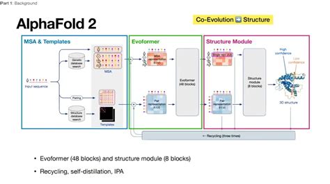 超全拆解 Alphafold 3，上海交大钟博子韬：极致利用数据，以原子精度预测所有生物分子结构，但并不完美 资讯 Hyperai超神经