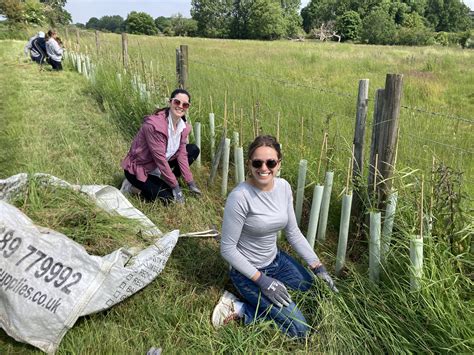 Grants And Guidance The Tree Council