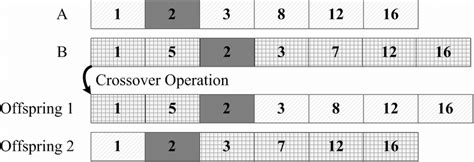 Illustration Of The Designed Crossover Operation Download Scientific Diagram