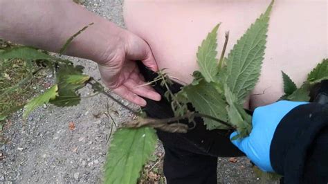 Nettles And Other Stuff In My Bra And Slip Porn Pictures Xxx Photos