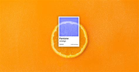 What Is A Hymen No It S Not Proof Of Virginity