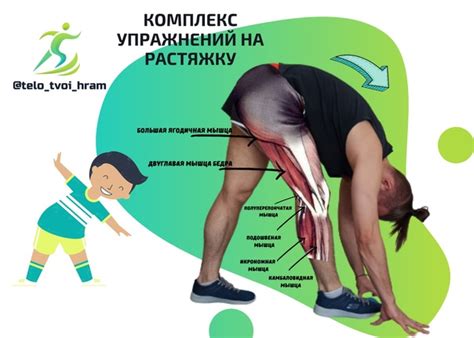 Комплекс упражнений на растяжку Сначала несколько полезных советов для новичков 1 Перед
