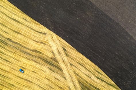 결합 수확기의 공중 보기는 여름에 일몰에 밀을 수확하고있다 농업 노란 밀 밭에서 수확기와 함께 풍경 농기계와 잘 익은 밀의 최고 전망 공중 뷰에 대한 스톡 사진 및 기타