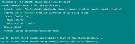 How To Access Virtualbox Shared Folder At Startup With Systemd In Linux Golinuxcloud