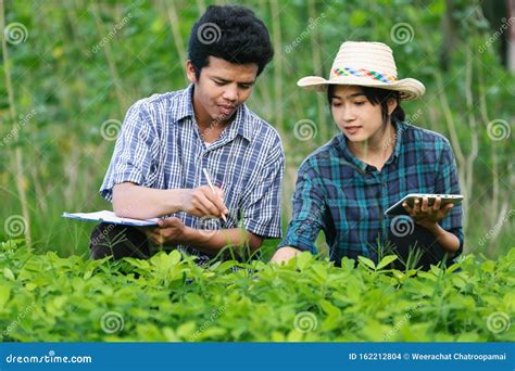 Agriculture Young Men And Women Farmers Inspecting Plant Organic Field
