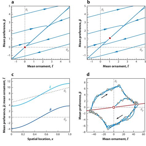 Sexual Selection Graph