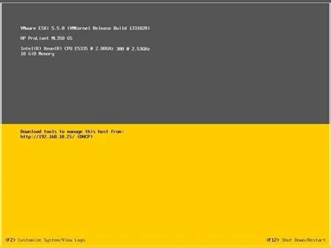 Install Vmware Esxi 55 On Usb Stick • Nolabnoparty