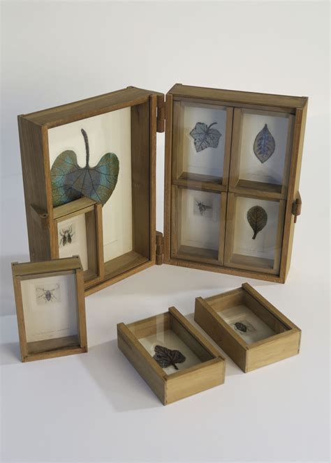 Rimer Cardillo And The Deep Ecology Of A Sacred Nature Taubman